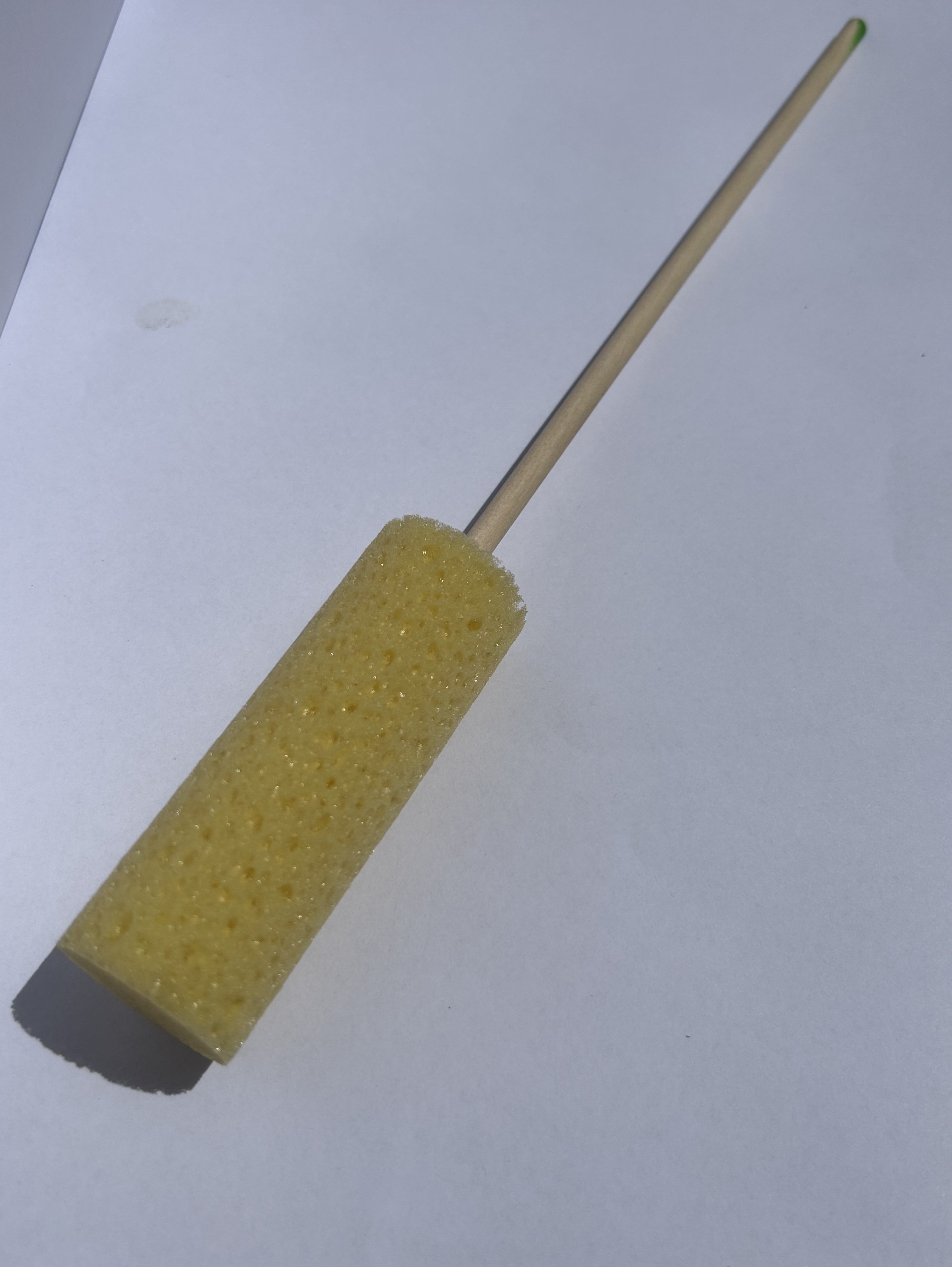 Large cylindrical sponge on stick | Northern Kilns